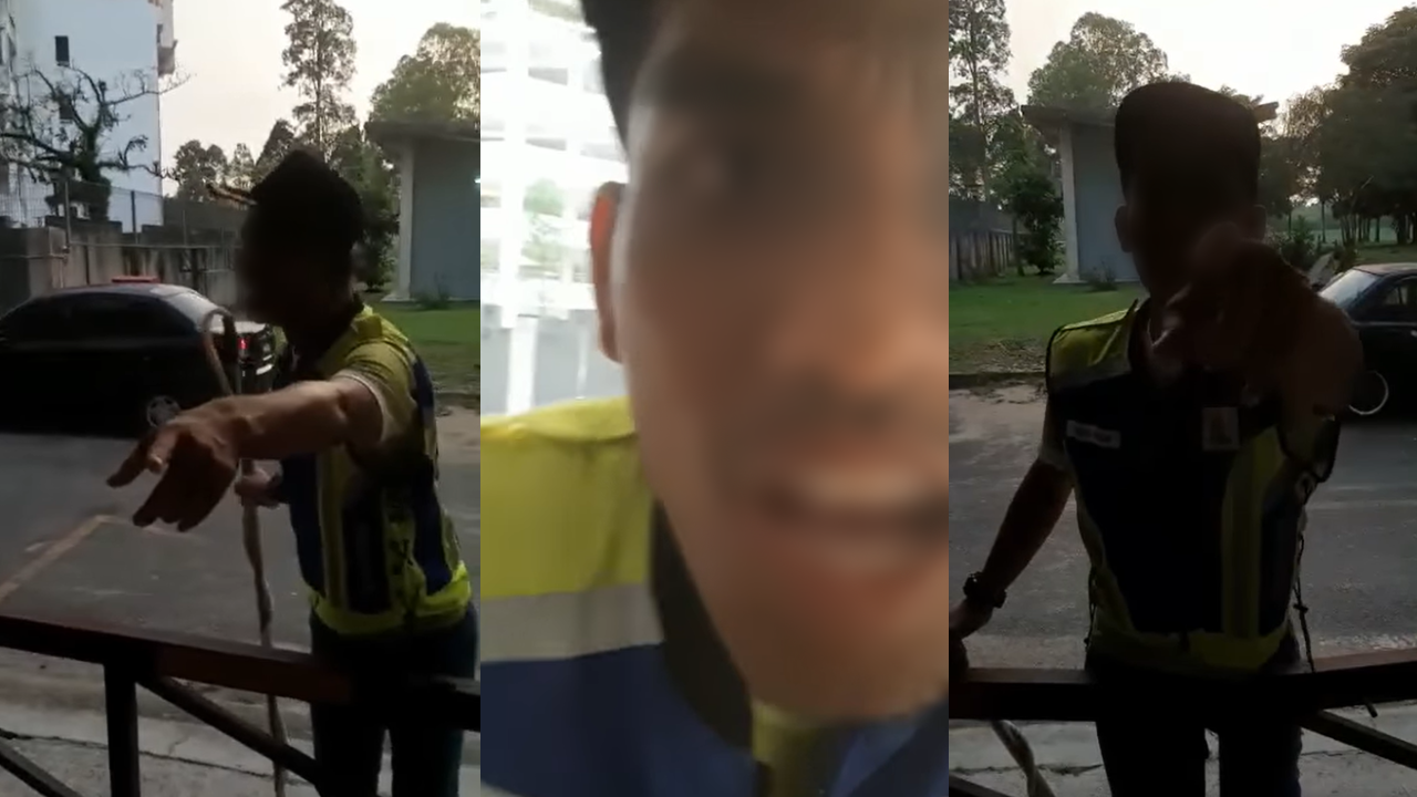 Exposed: MBPJ Officer Provocative Behaviour When Rounding Up Stay Dogs ...